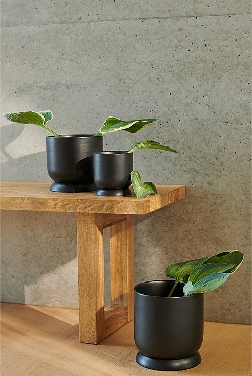 Matte Black Asti Medium Pot - Planters & Plant Stands | Country Road